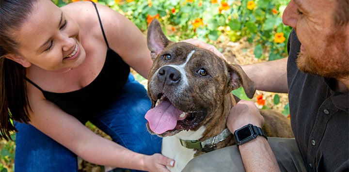 Keeping Pets With Their Families | Best Friends Animal Society
